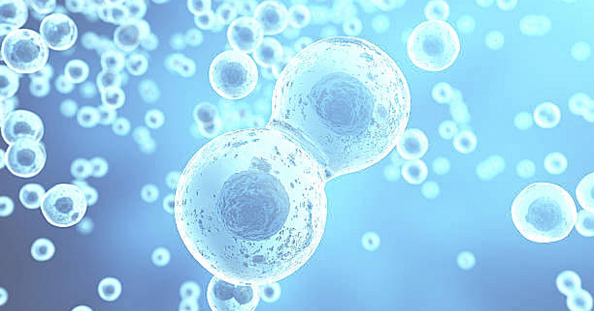 Artificial Intelligence and High-Quality Embryo Selection - BioCouriers